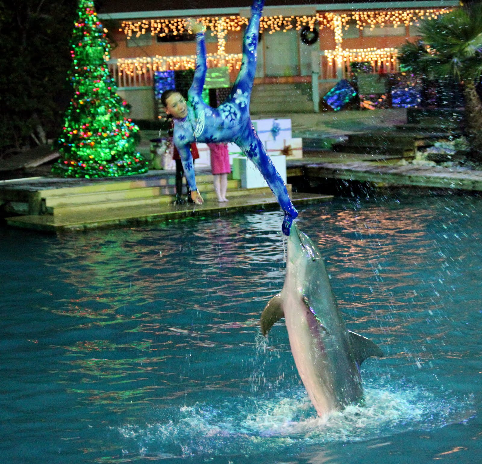 Welcome to Miami & The Beaches: The Holidays Light Up During Winter ...