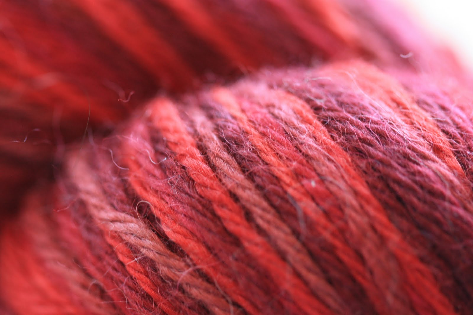 Knit, Click, & Stir: Tiny Dancers (A Yarn About Bugs)