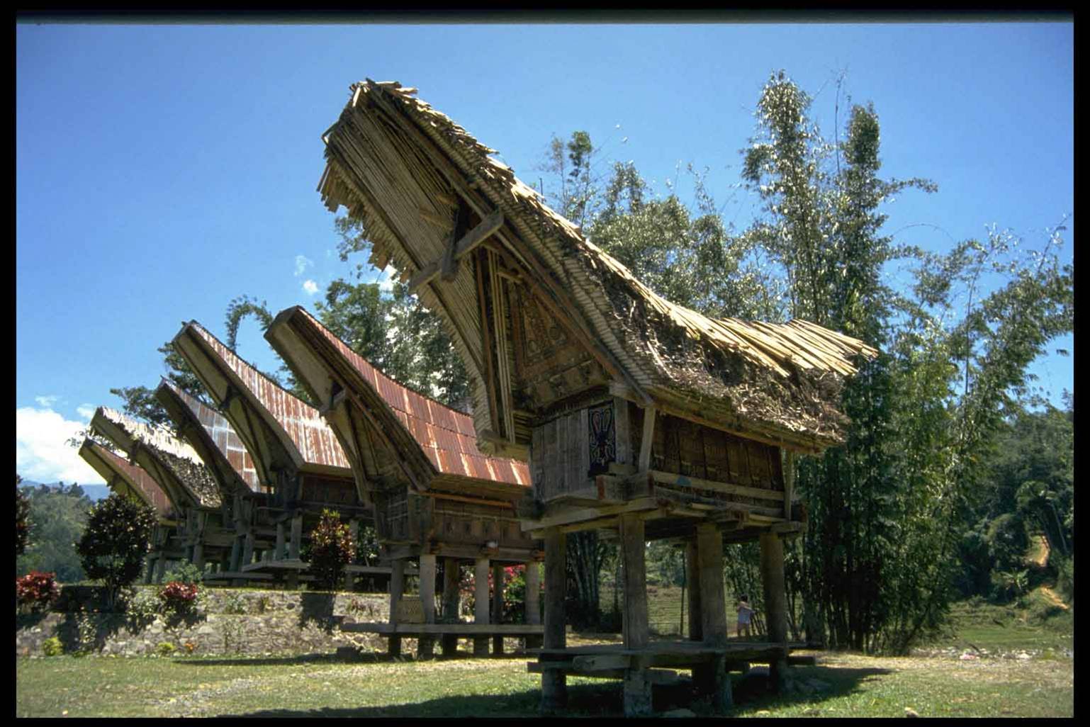 BELIGHT Tour and Travel: Toraja Package Tour
