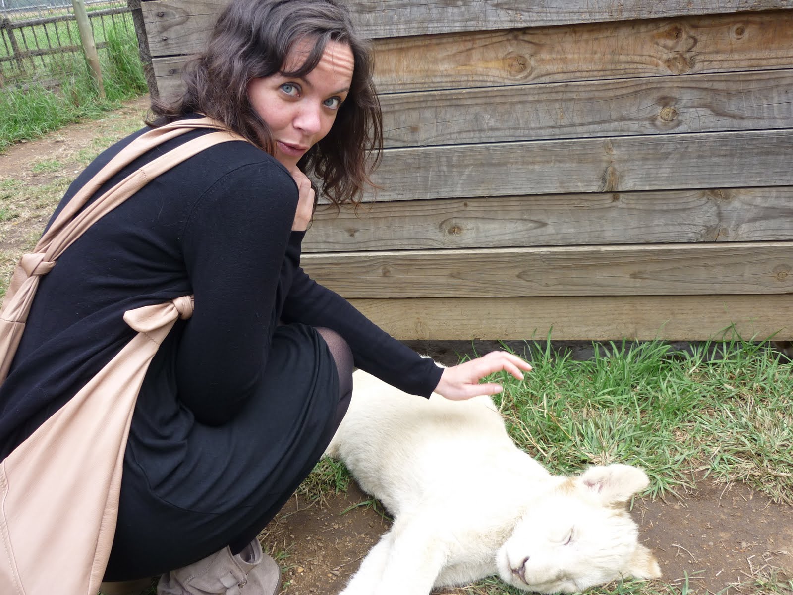 Adeline, Nelson, le biltong et les pingouins !: Les animaux