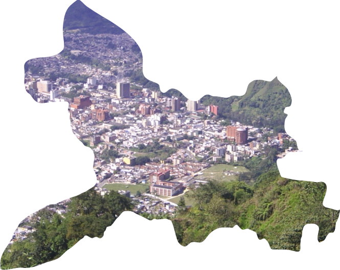 IBAGUÉ EL MEJOR VIVIDERO