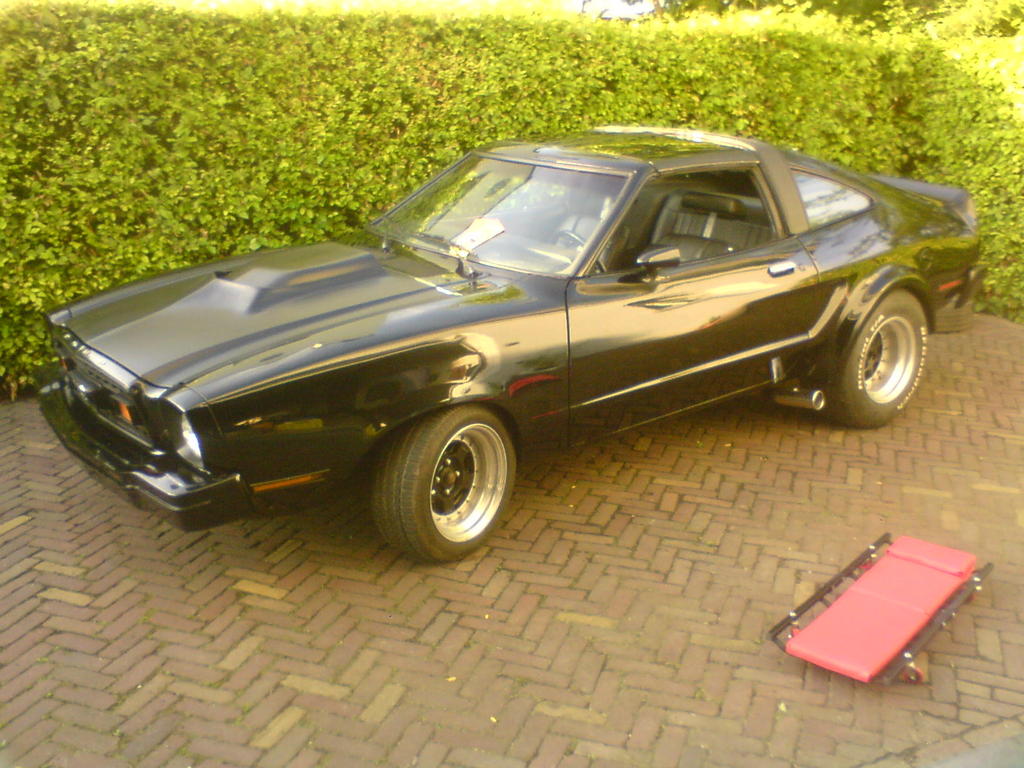 The Old Timer : The Collections: Ford Mustang 2 Cobra