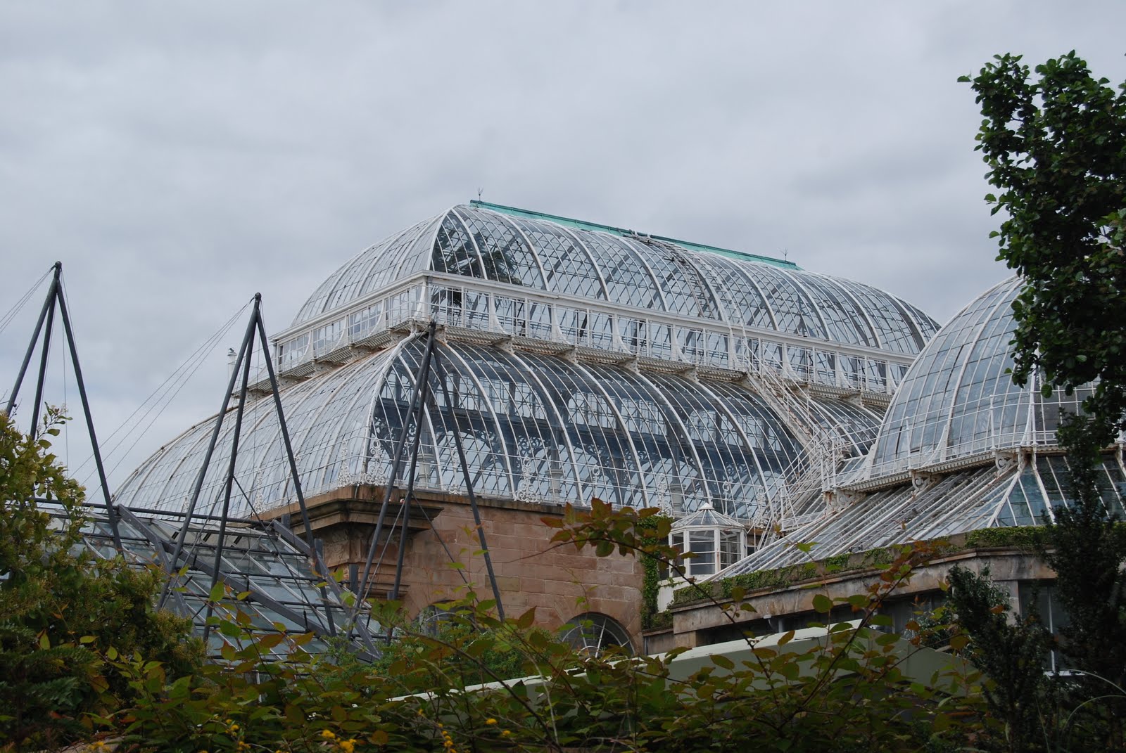 Jason Lattier's Garden Journal: RBG Edinburgh Greenhouse and Herbarium