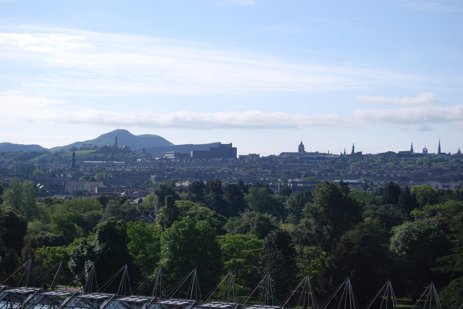 Jason Lattier's Garden Journal: RBG Edinburgh Greenhouse and Herbarium