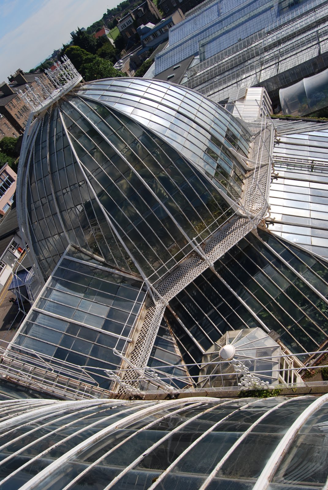 Jason Lattier's Garden Journal: RBG Edinburgh Greenhouse and Herbarium