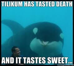 Cetacean Calling: Famous Cetaceans