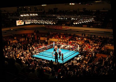 Live Sports Time: Fox Sports Net Fight Night live stream : Jesus Soto ...