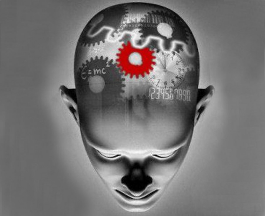 LA COGNICIÓN: Articulo: Un nuevo descubrimiento mejorará la cognición ...