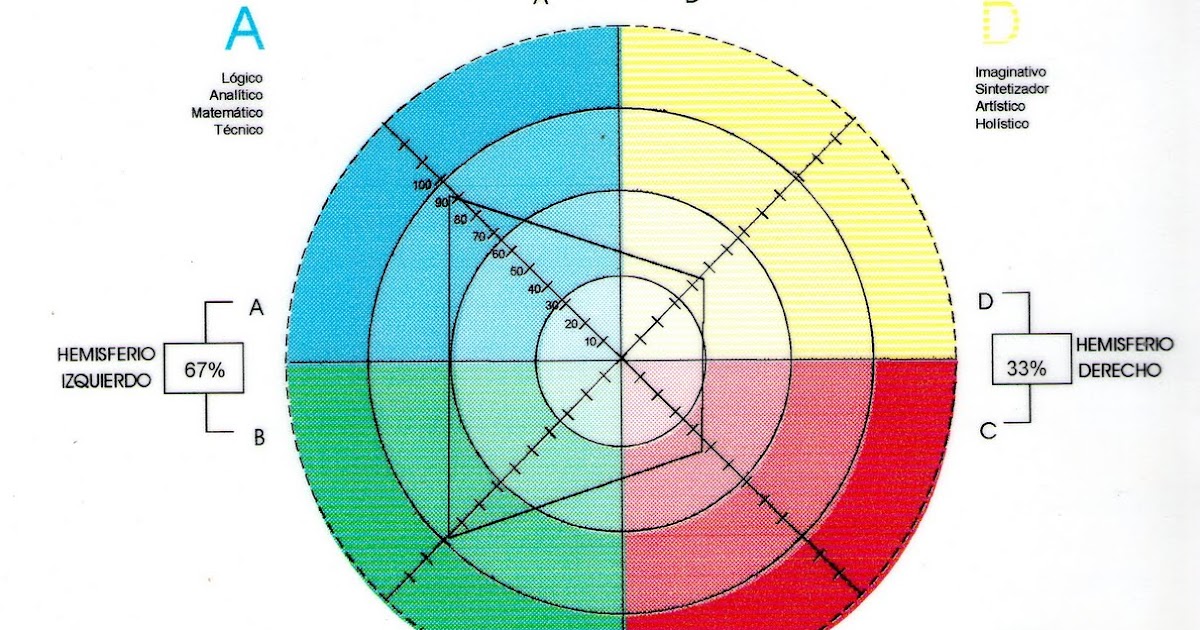 Horanosaurus argentinensis: El perfil Herrmann de dominancia cerebral ...