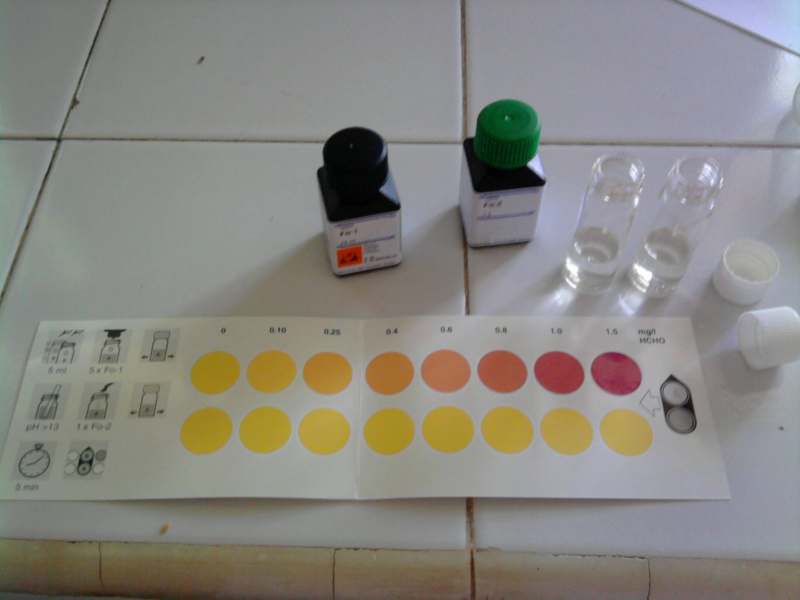 My World Fisheries: Kegiatan Uji Formalin