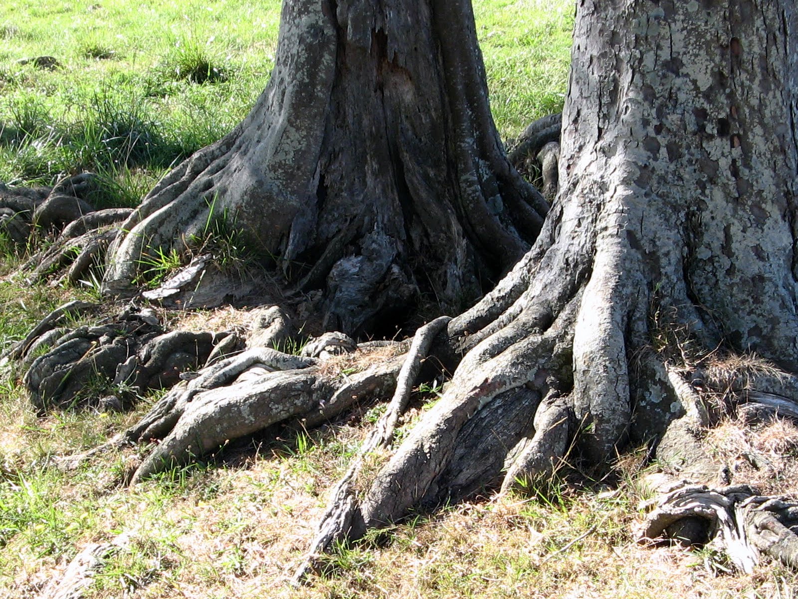 The Paddock: July 2010