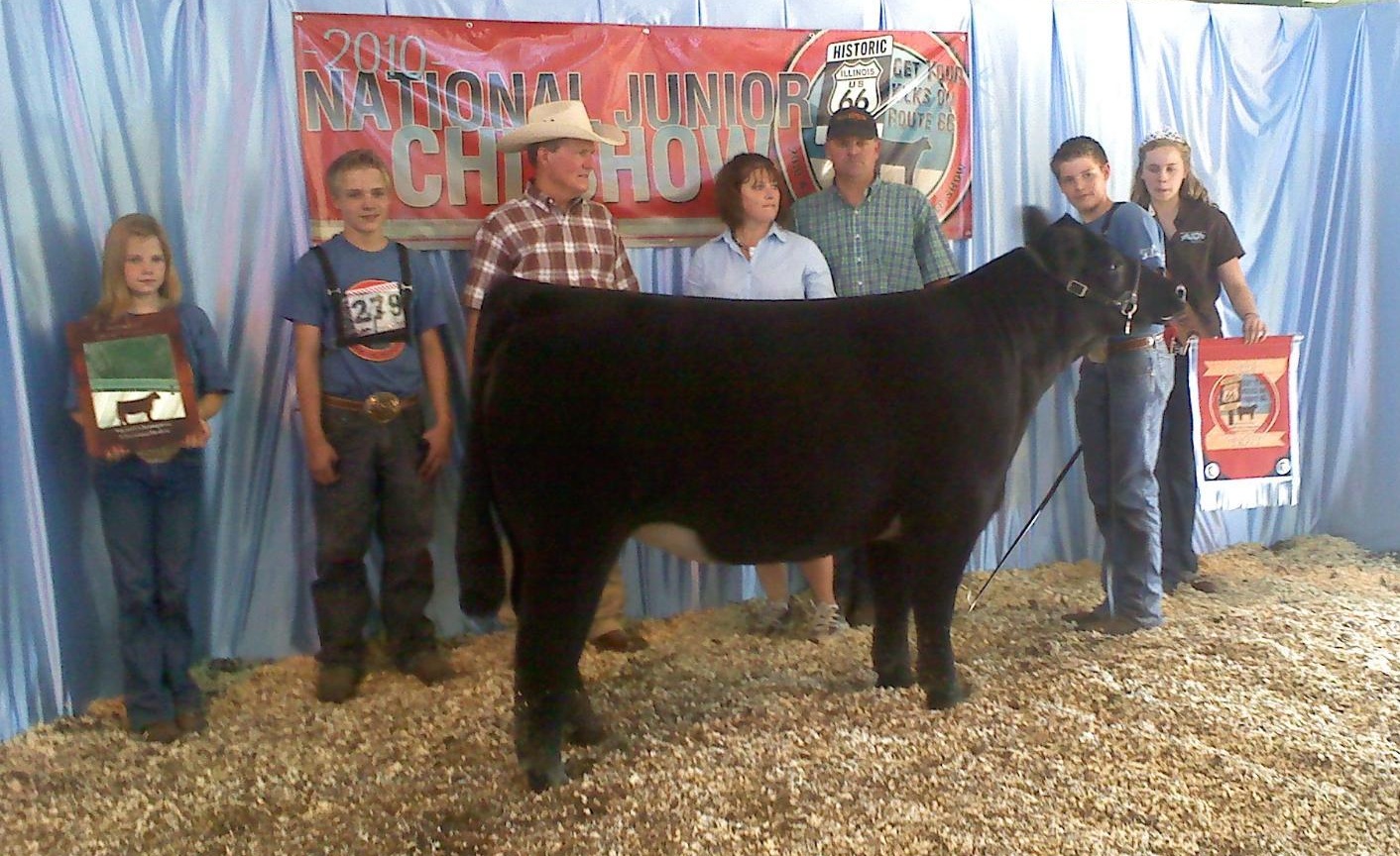 Grand Champion Chi Nationals | Matt Lautner Cattle