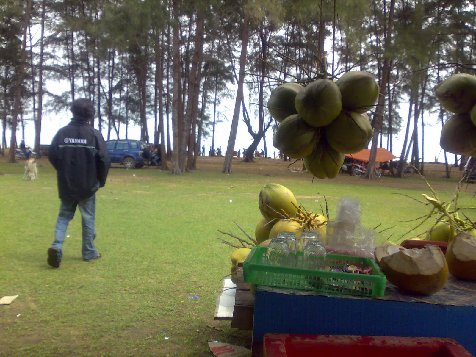 Check This Out: Batakan Beach South Kalimantan