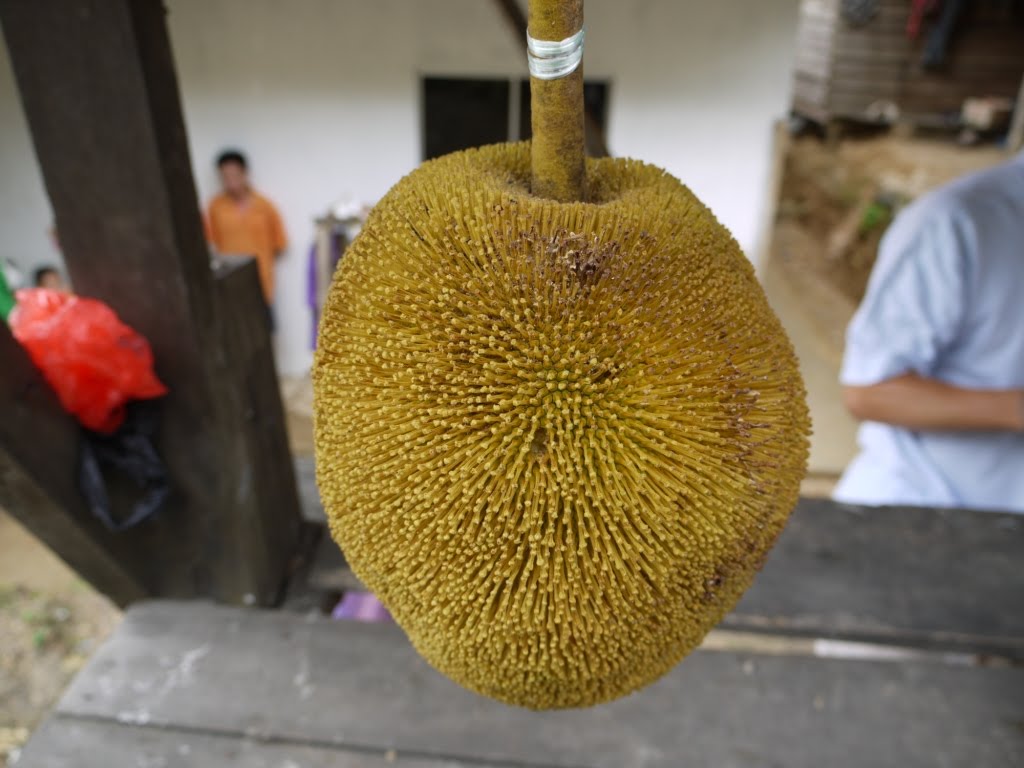 Joe's Garden: Kota Kinabalu