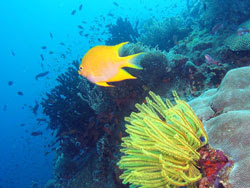 Southern Leyte Tourist Attractions: "Ten Best Things To Do in Southern ...