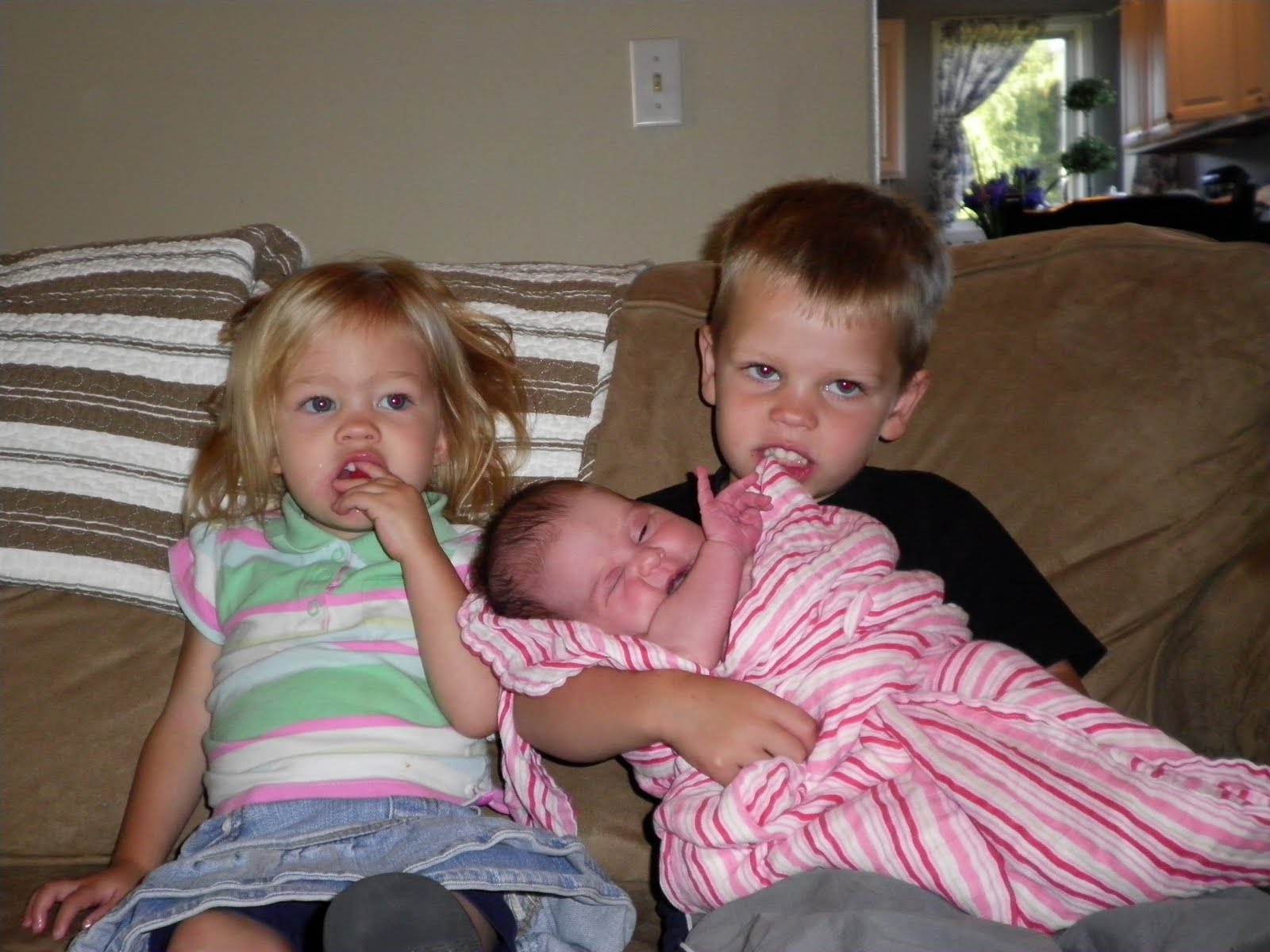 The Jenks Family Diaries