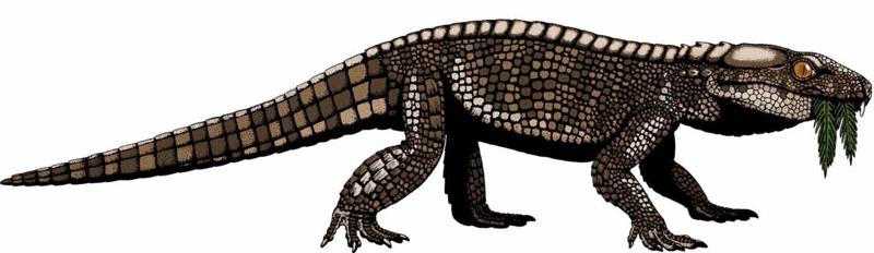 Prehistoric Crocodiles