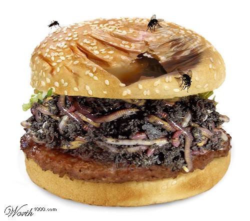 SlashBackWords: The Maggot Meats A New Vegetarian