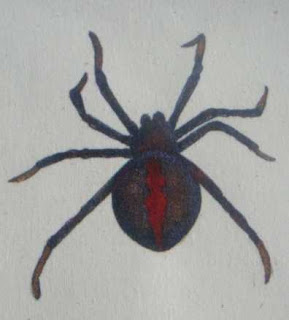 Ruth McMonagle: Katipo spider