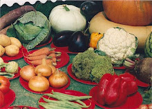 MOLOVINSKY ON ALLENTOWN: A Lesson at Bucky Boyle Park