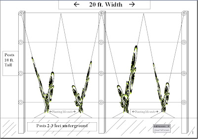 The Hop Cone Cometh...: Hops Structure Diagram