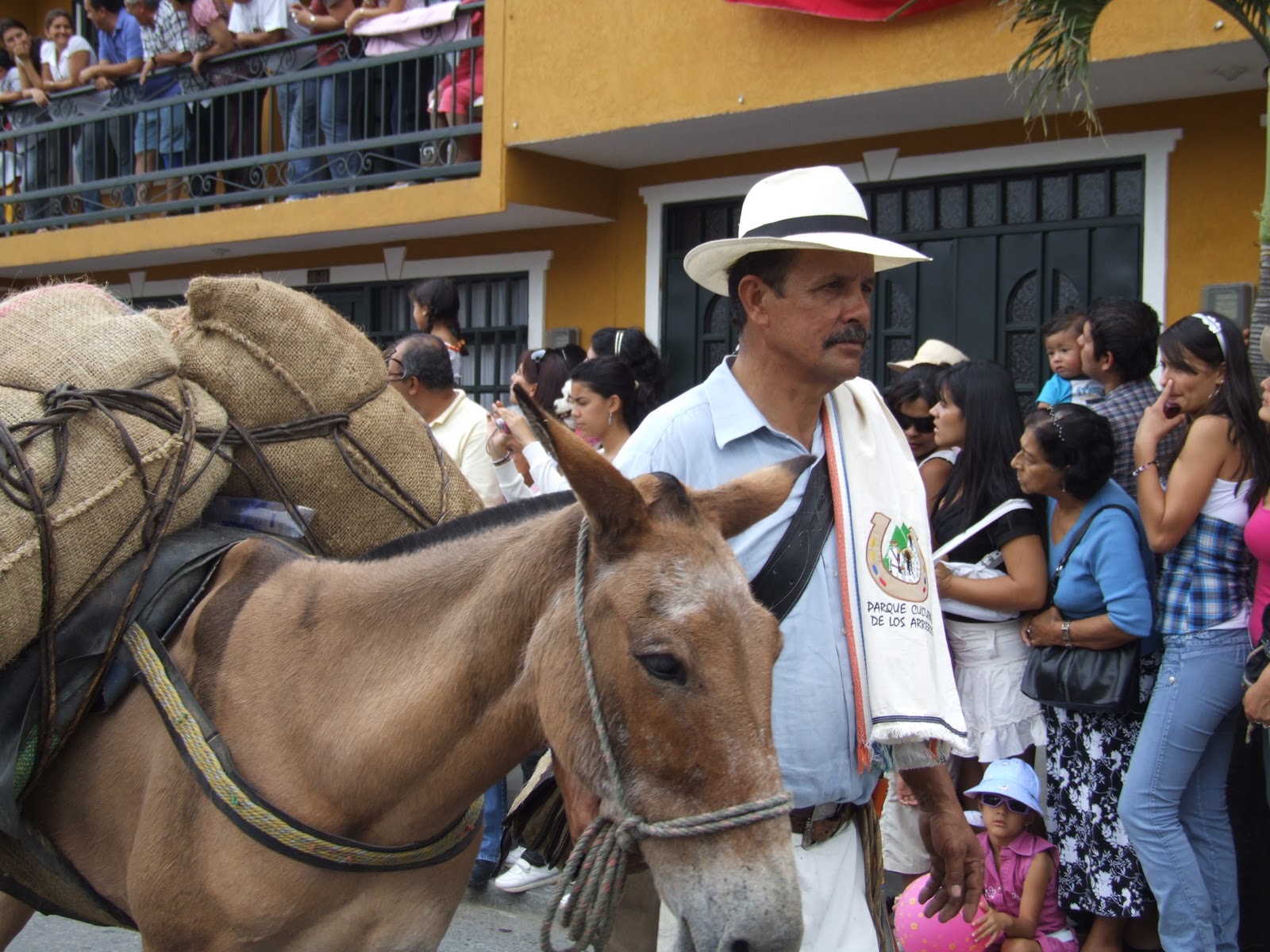 TURISMO Y CULTURA DEL QUINDIO: ARRIERO QUINDIO
