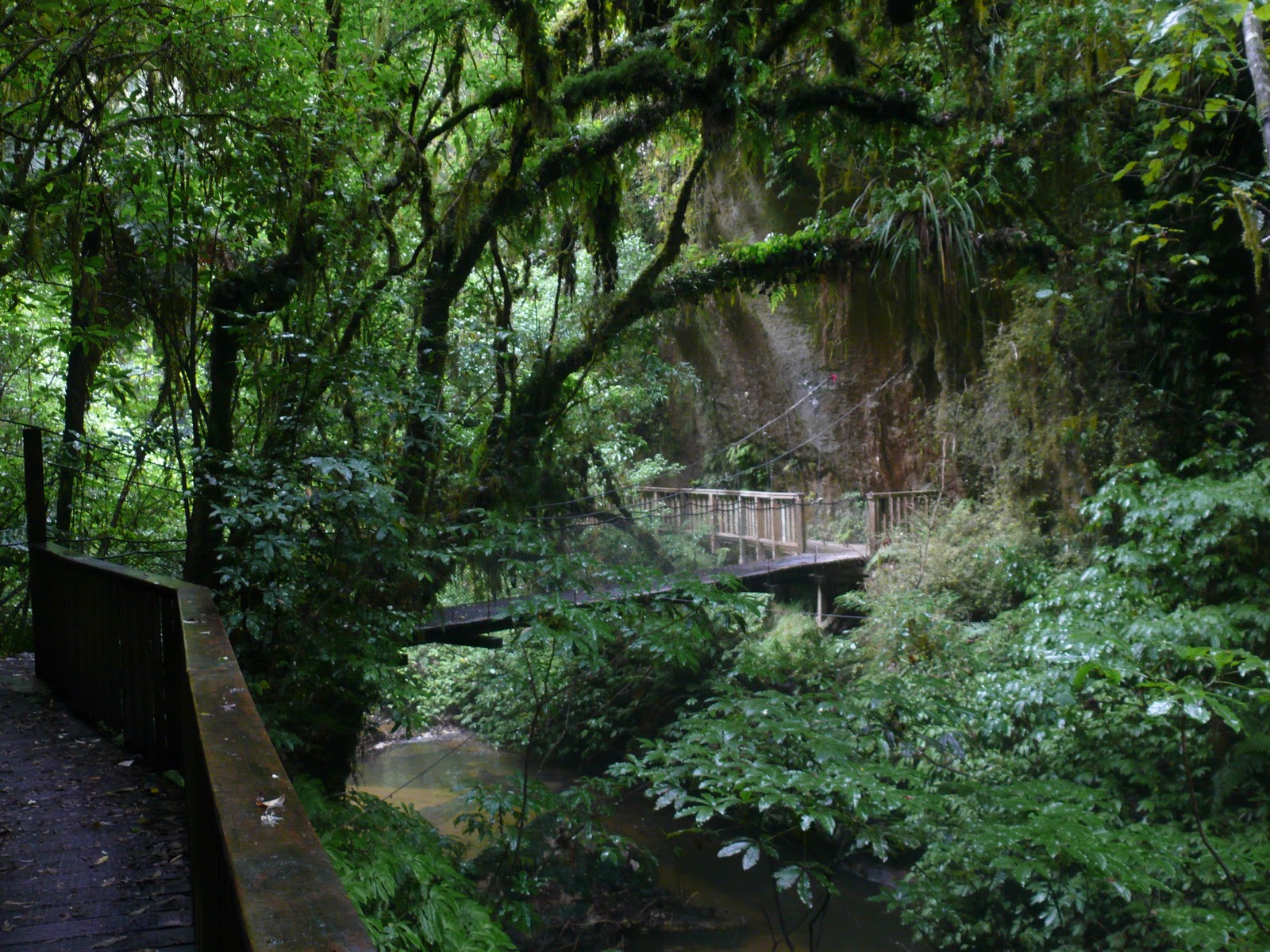 an extension to Grrr's mind...: Mangapohue Natural Bridge