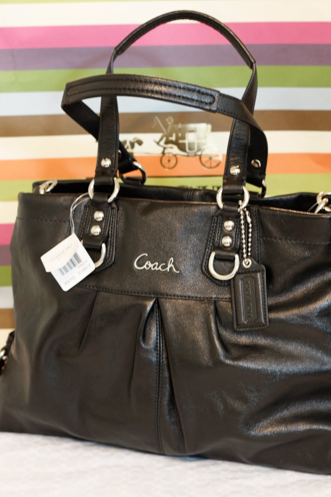 Coach Chics: New Coach ASHLEY Leather Carryall