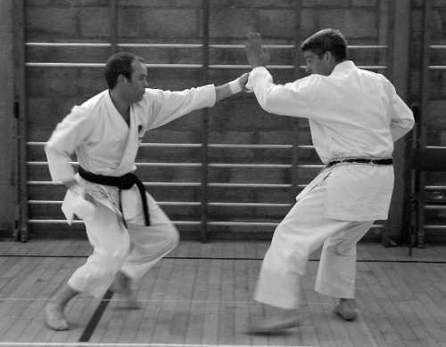 Martial Views: Karate Point Fighting