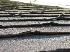 Roof Shingle Defective: Roof Shingle Defect