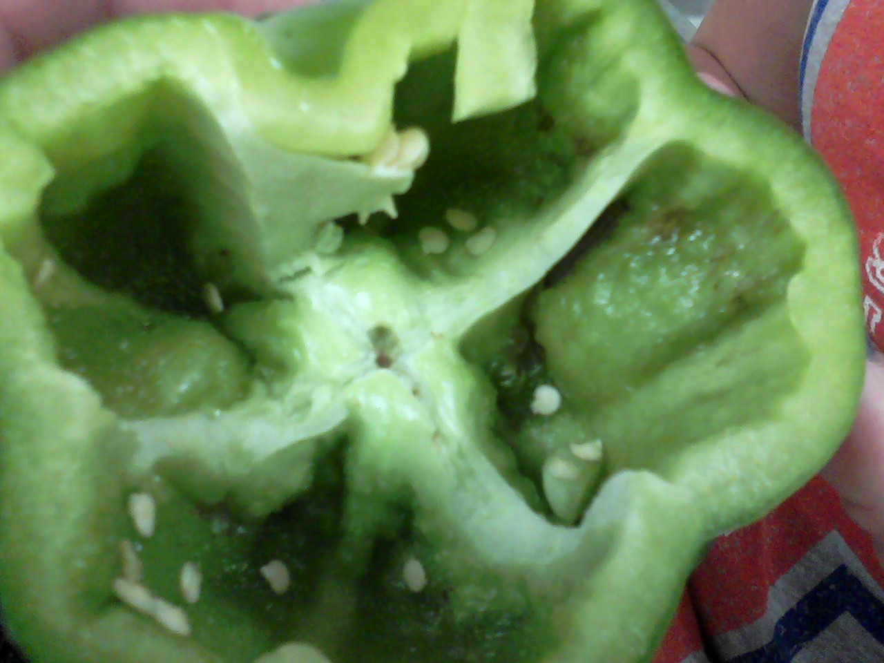 Wandering in LaLaLand: Day 34: There's a Worm in my Pepper!