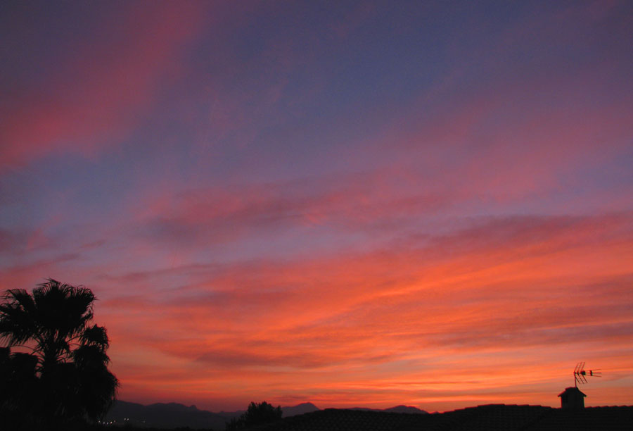 Mallorca es así también: 2/5/10 - 9/5/10