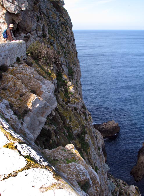 Mallorca es así también: LA ISLA DRAGONERA