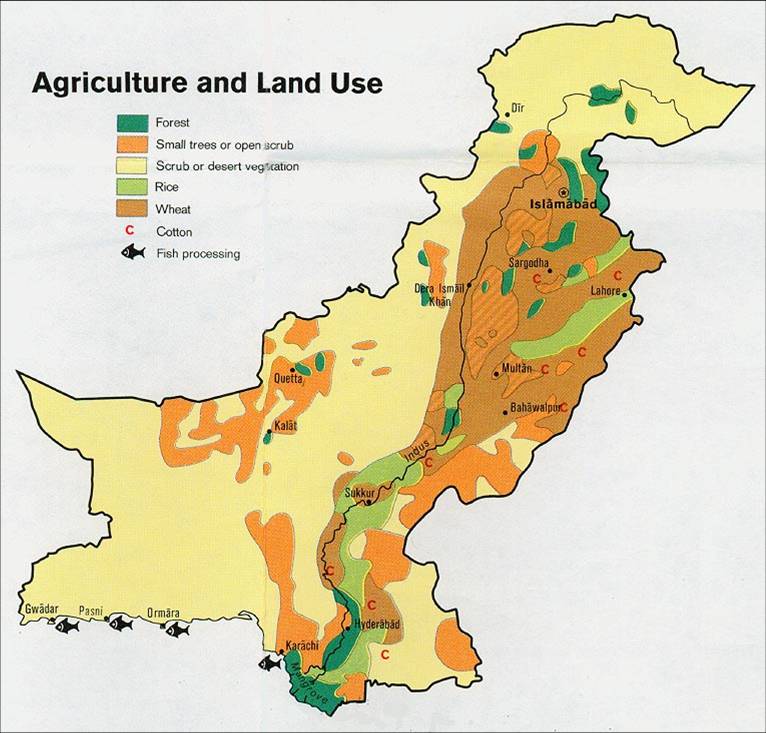 Articles: My Road Map To Prosperous Pakistan