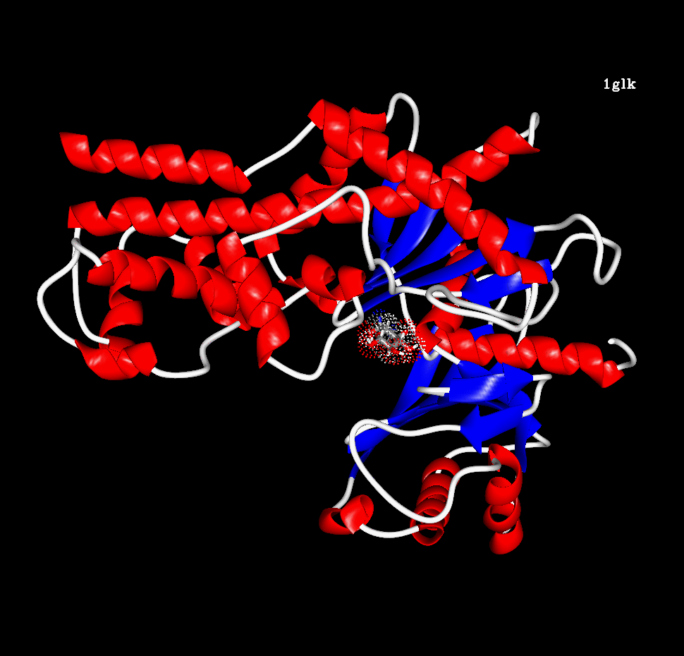 GENETICA ON LINE: Junho 2010