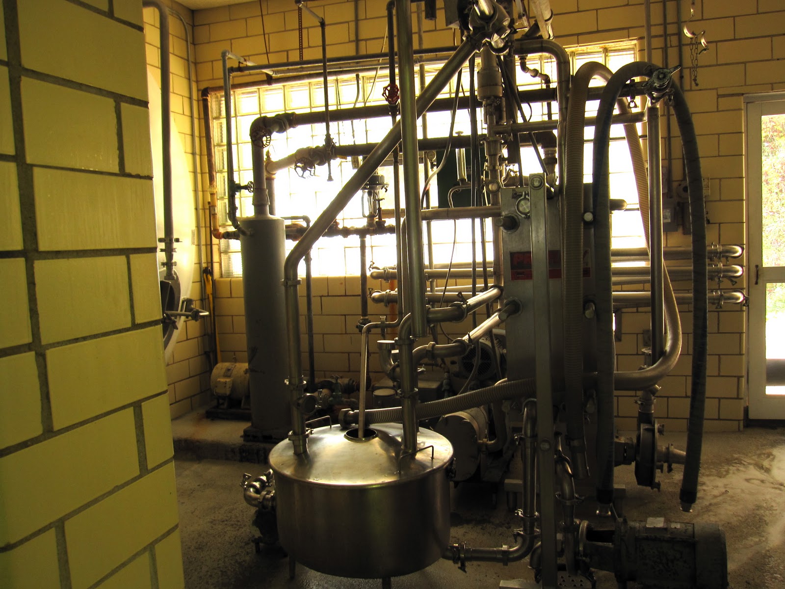 Madame Fromage: Wisconsin Cheese Coma