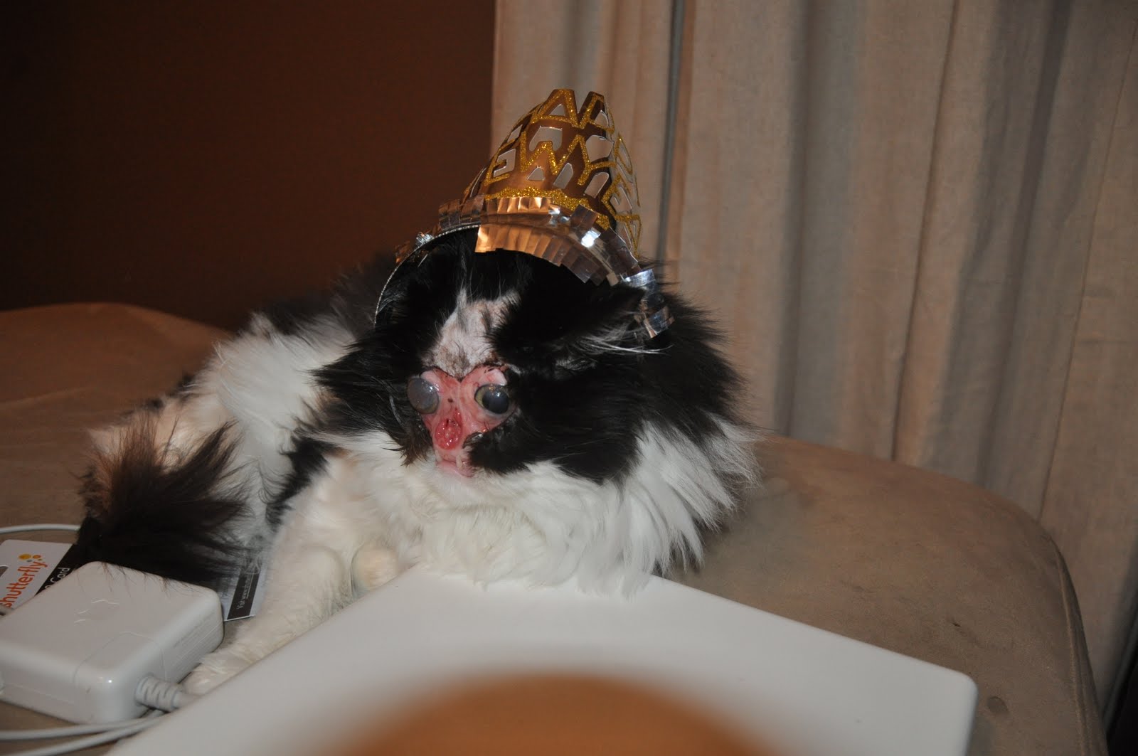 ellebeezy: Chase No Face