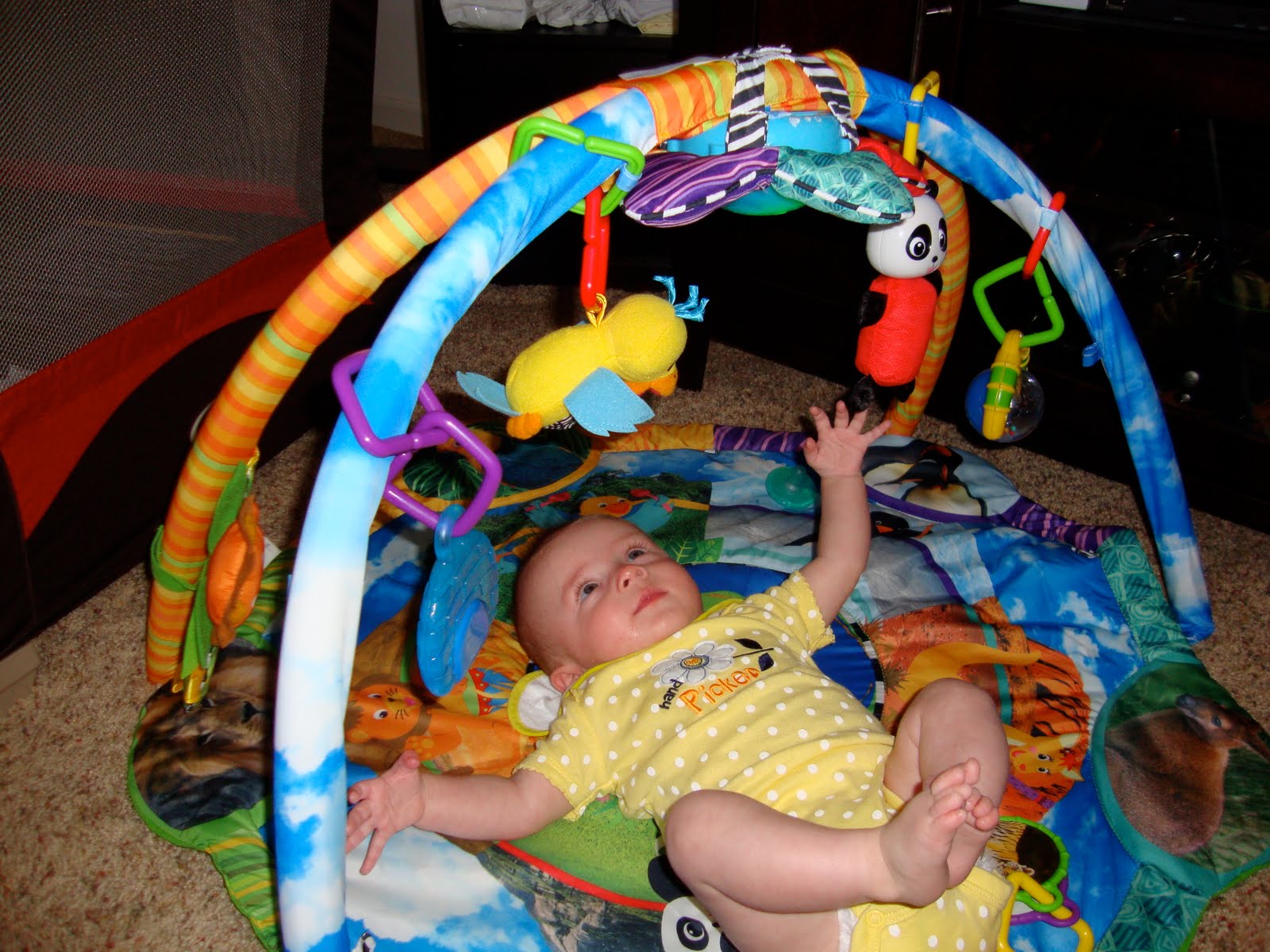 Thornton Twins: Rollin' Rollin' Rollin'