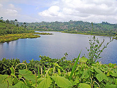 Esmeraldas News: Reserva ecuatoriana Mache Chindul recibe Premio ...