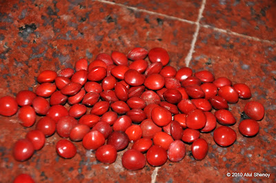 Manjadi-kurus (Lucky little red seeds) and other things--a picture ...