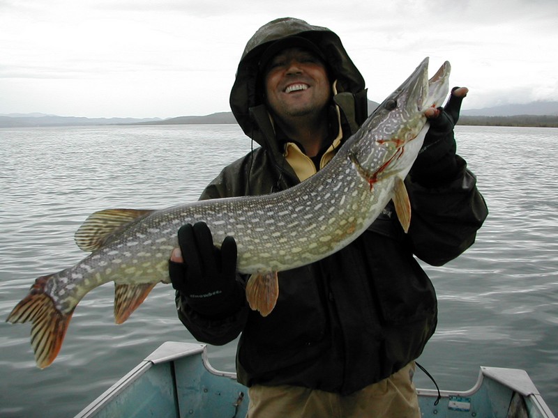 Yukon Pike | PikeFirst