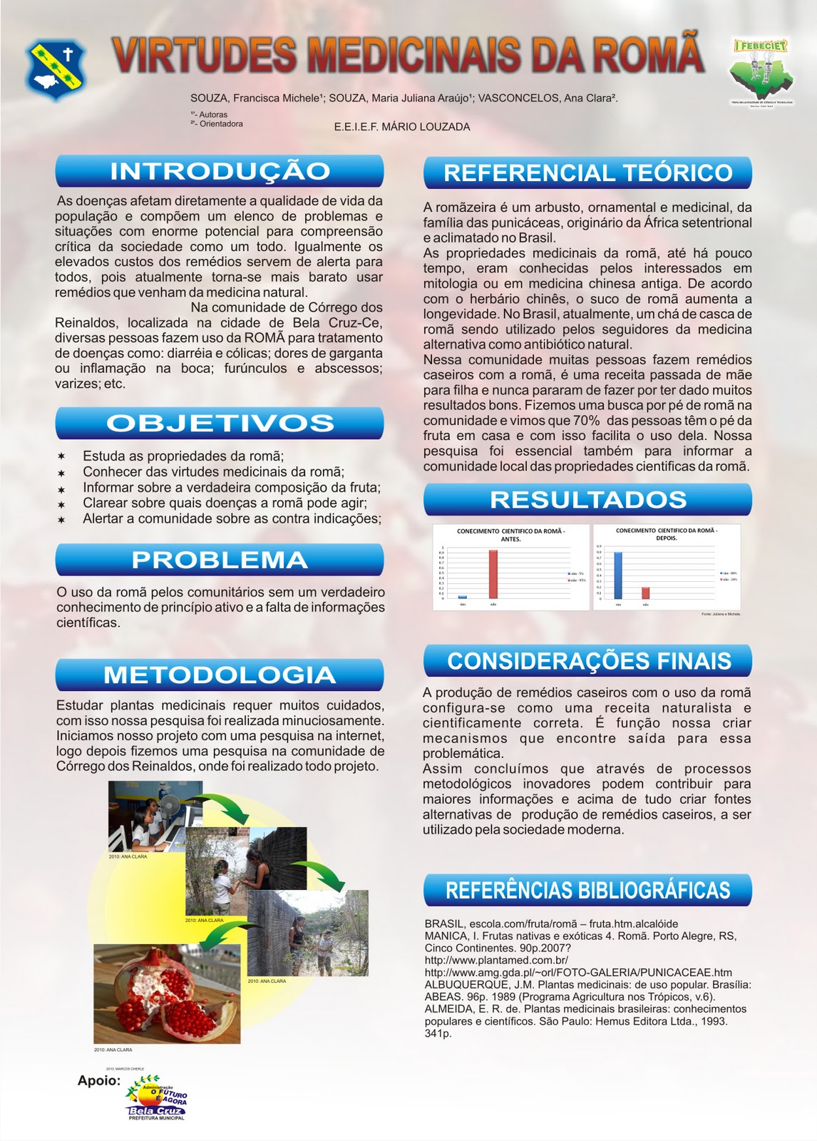 Feira Belacruzense de Ciência e Tecnologia - FEBECITEC: Banners ...