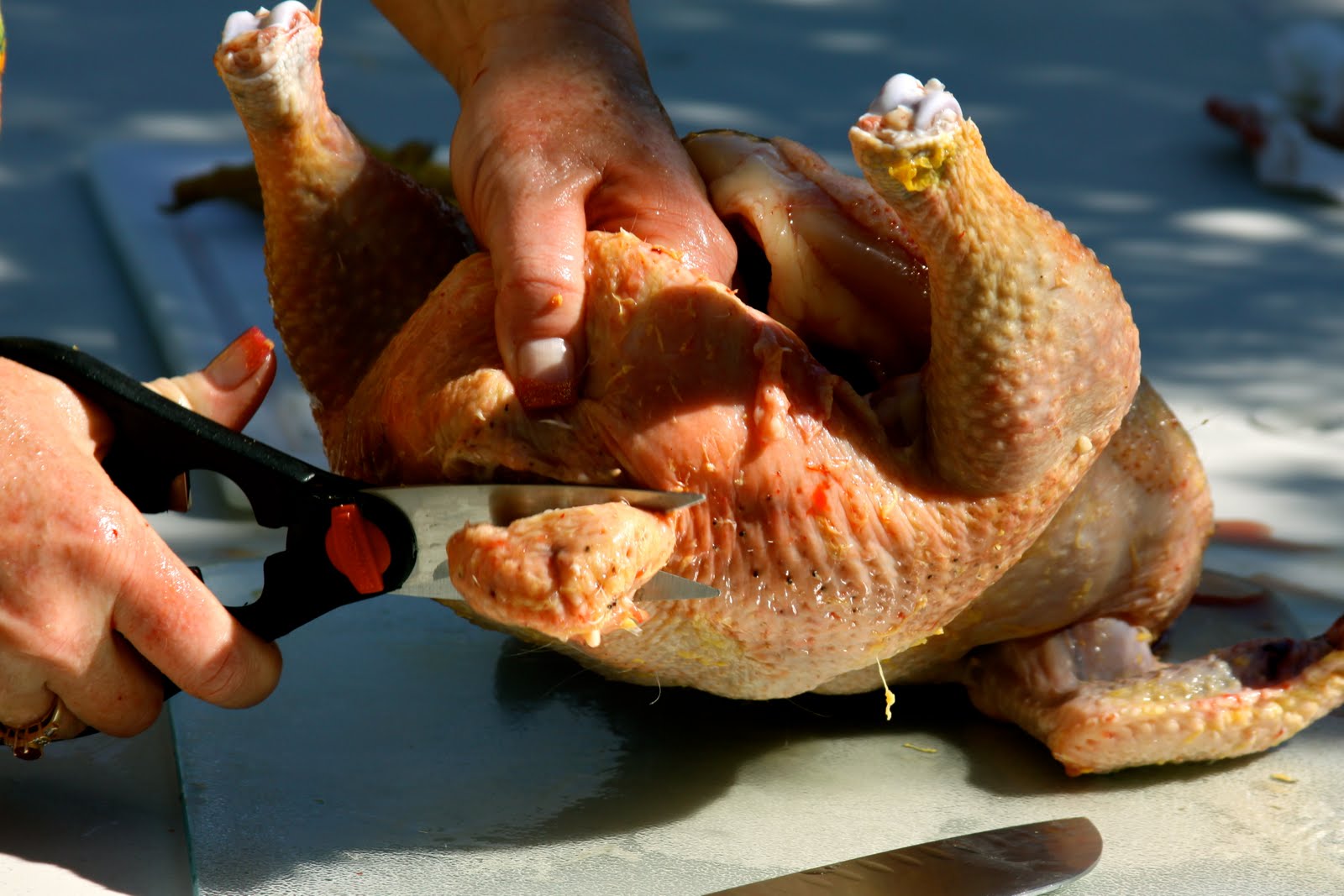 Homestead Revival: Processing Meat Chickens