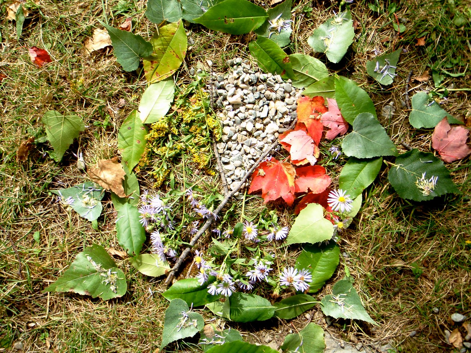 Fayston Elementary Art: Andy Goldsworthy