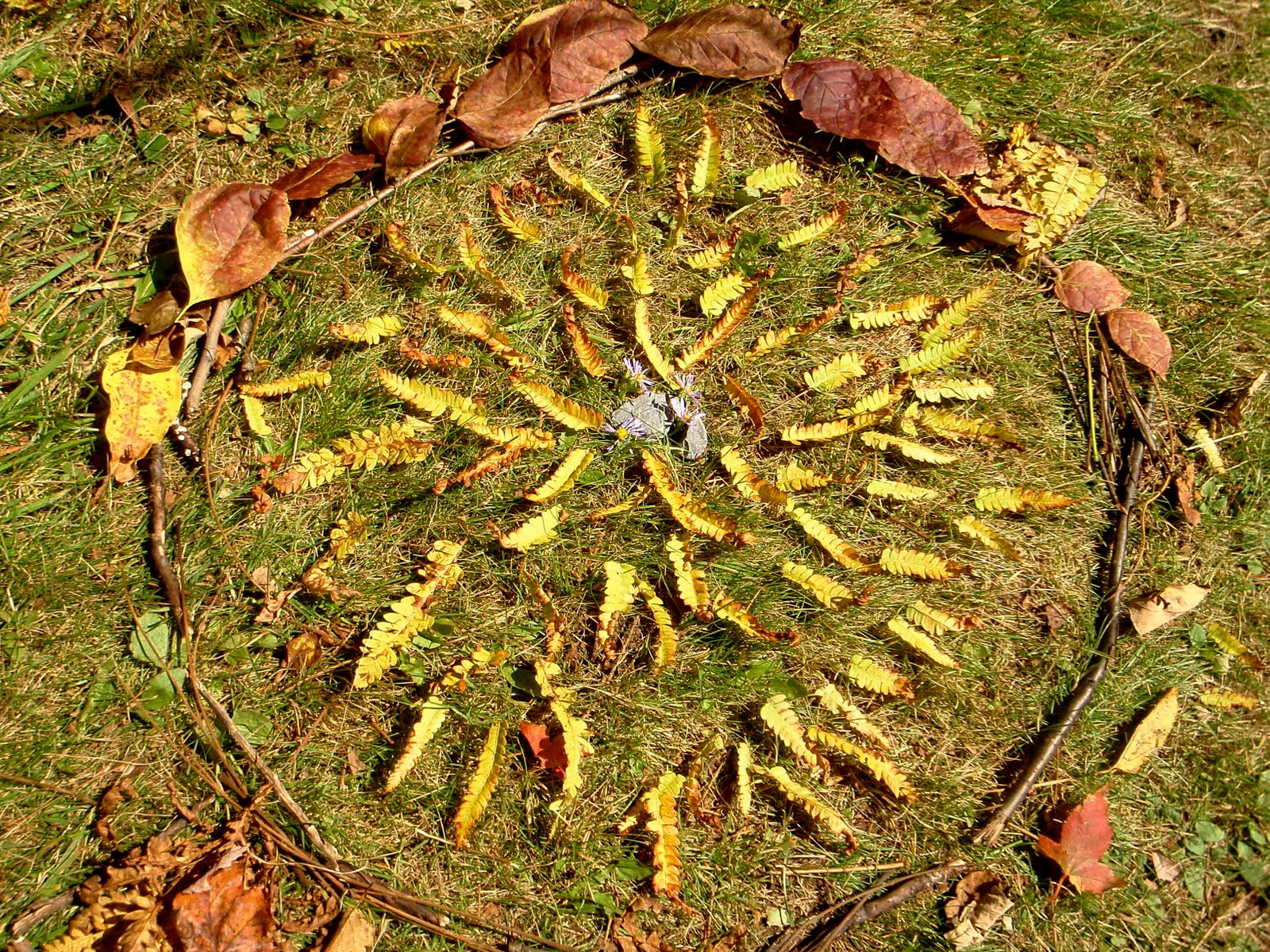 Fayston Elementary Art: Andy Goldsworthy