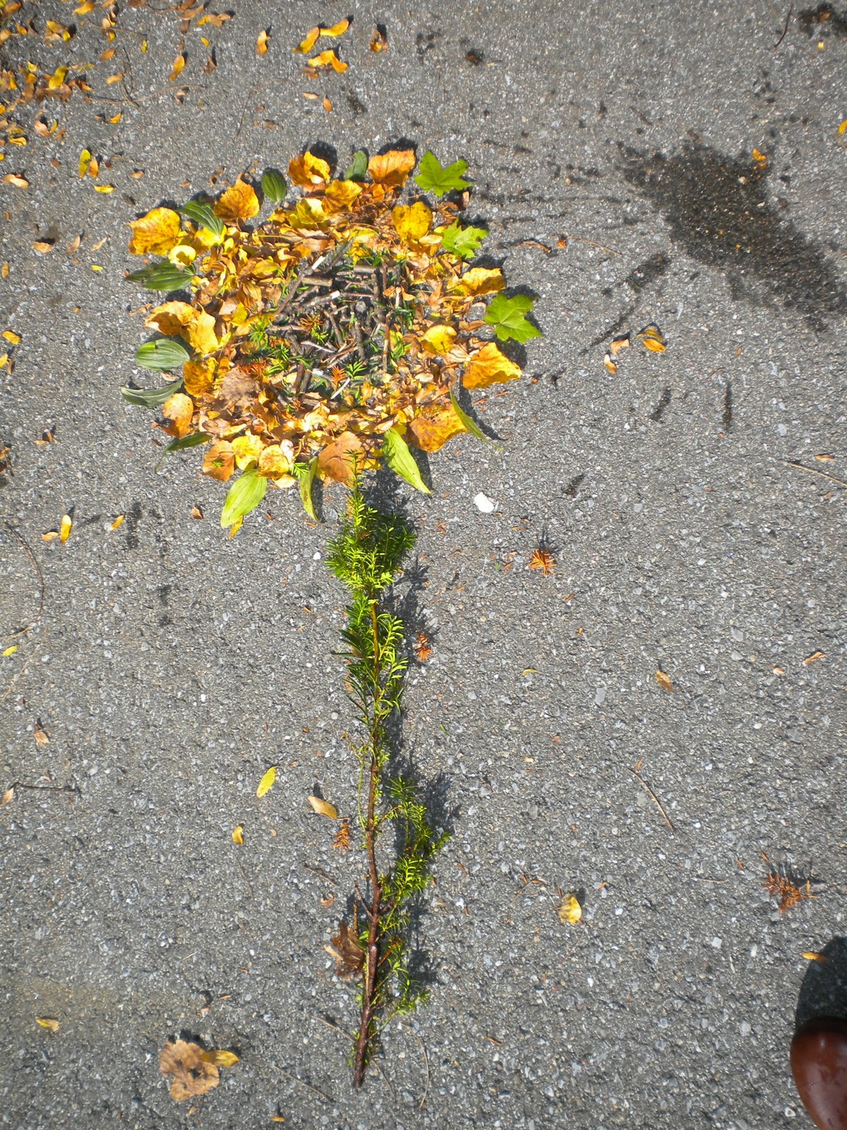 Waitsfield Elementary Art: More Andy Goldsworthy-inspired Nature Art