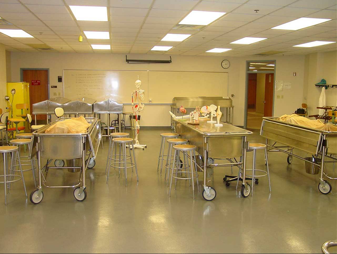 Sherri's Mad Blabber Blog: My First Cadaver Lab Experience