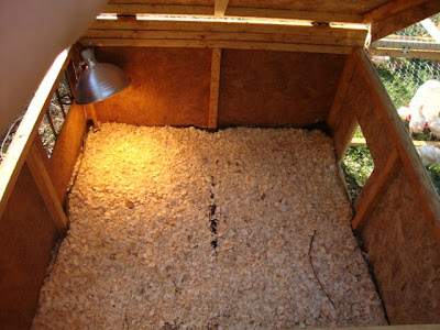 Adventures with Meat Chickens: Broiler Pen!