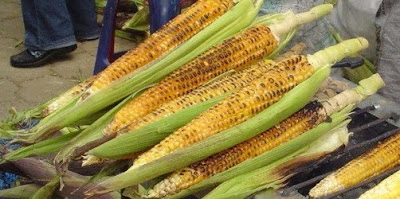 A Journey Through Guatemala: February 2010