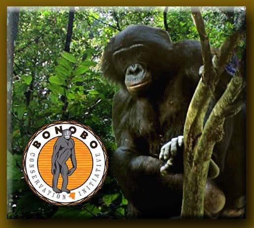 Bonobo Central